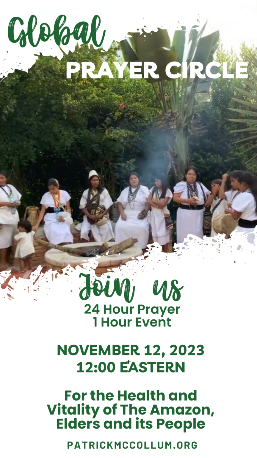 The McCollum Foundation for Peace